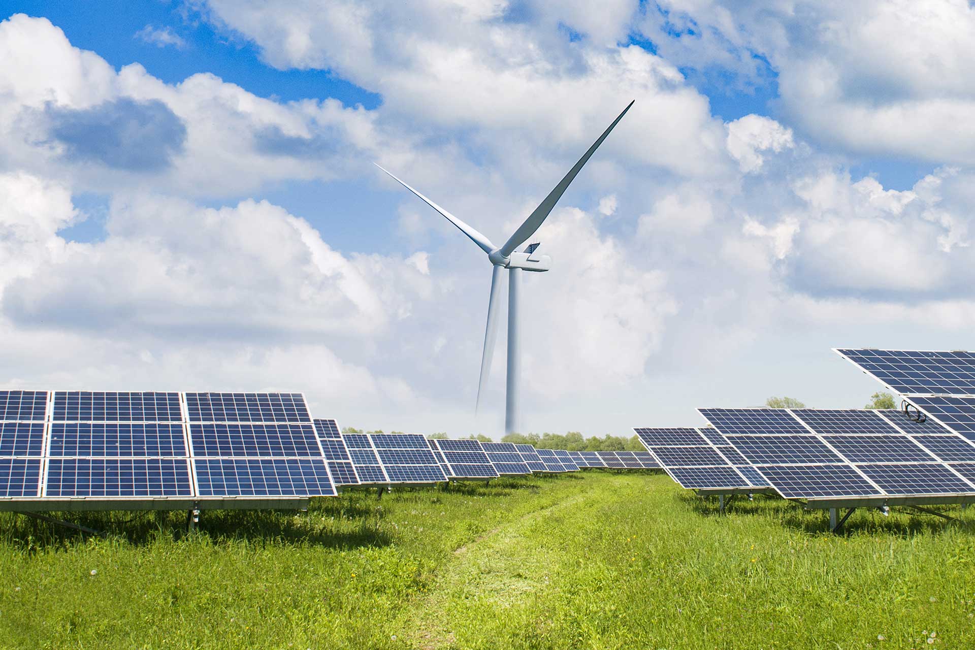 Grid Compliance Analysis - SENEDS